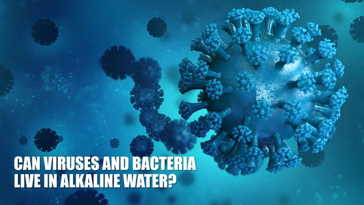 Can Viruses and Bacteria Thrive in Alkaline Water? – Tokui Pty Ltd